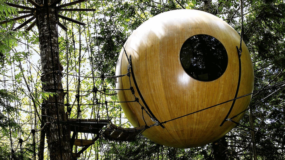 Backyard Dreaming: Inspiration for the Perfect Tree House - Outside Online