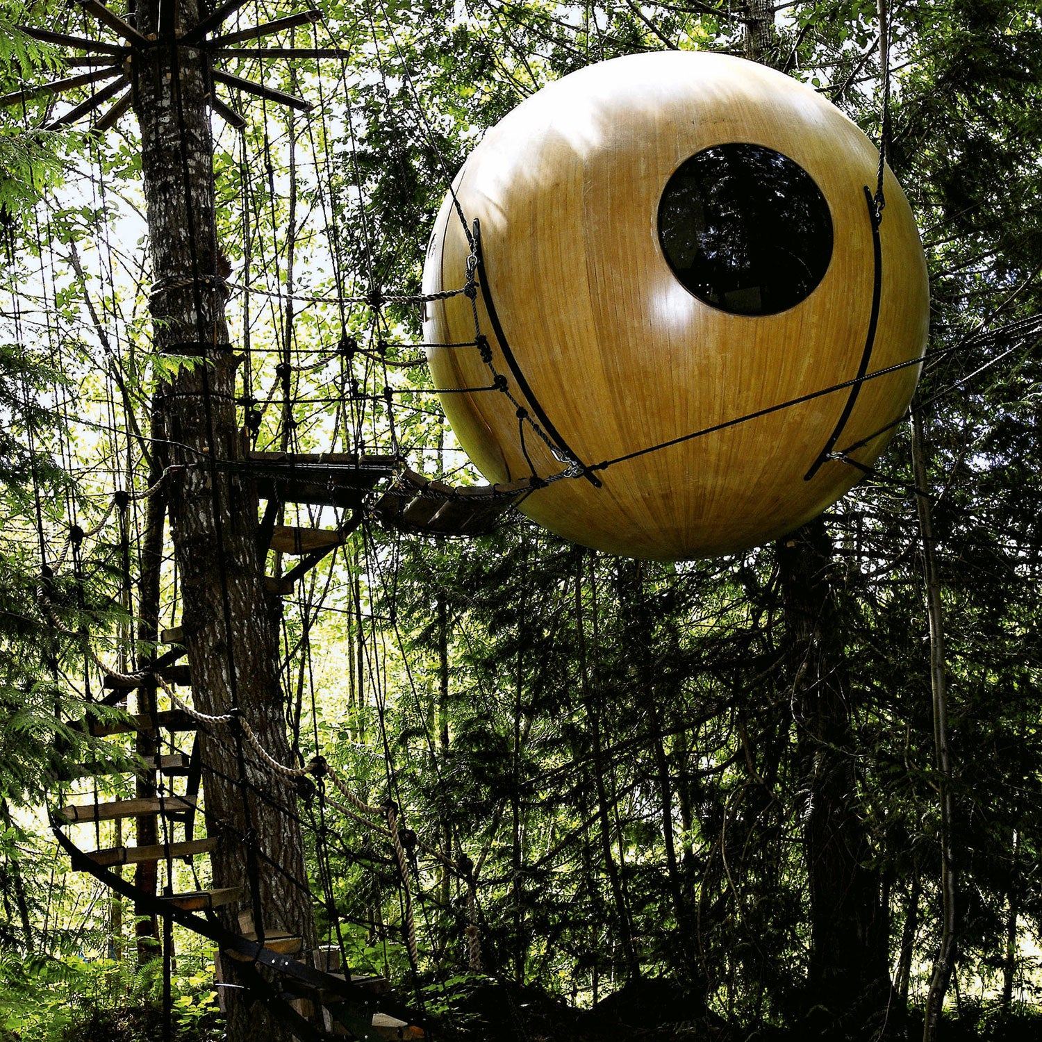 Backyard Dreaming: Inspiration for the Perfect Tree House - Outside Online