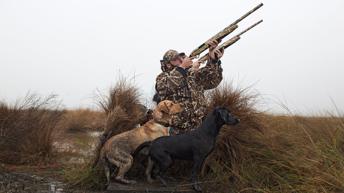 The Power and Beauty of Hunting Dogs - Outside Online