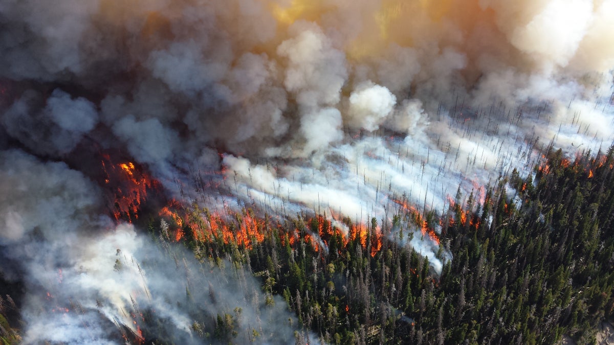 U.S. Is Slated for Worst-Ever Fire Season - Outside Online