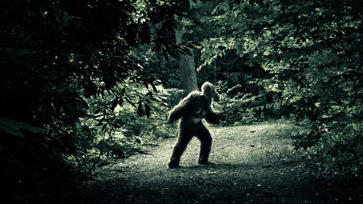 Bigfoot: Portrait of an Animal That May Not Exist | Outside Online