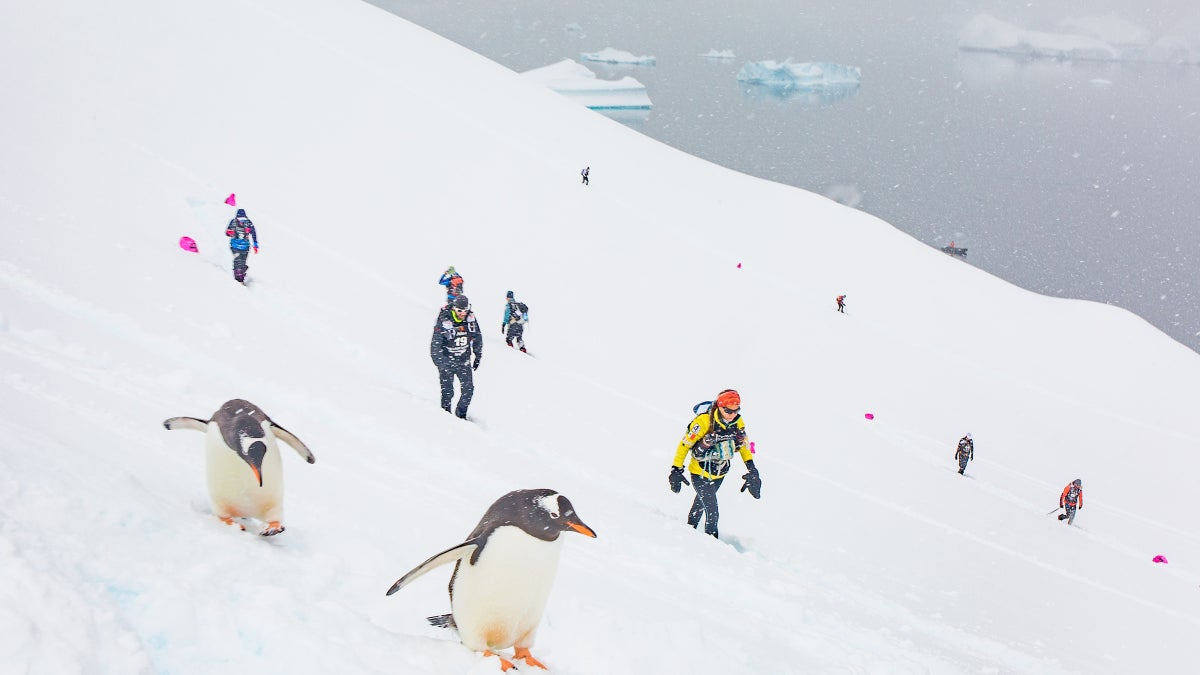 A Beautiful (But Brutal) Multi-Day Race in Antarctica - Outside Online
