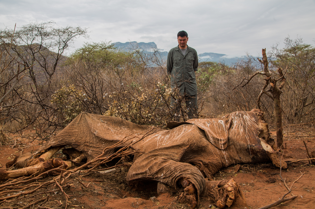 Yao Ming Goes to Africa to Raise Awareness of Ivory Poaching - Outside ...