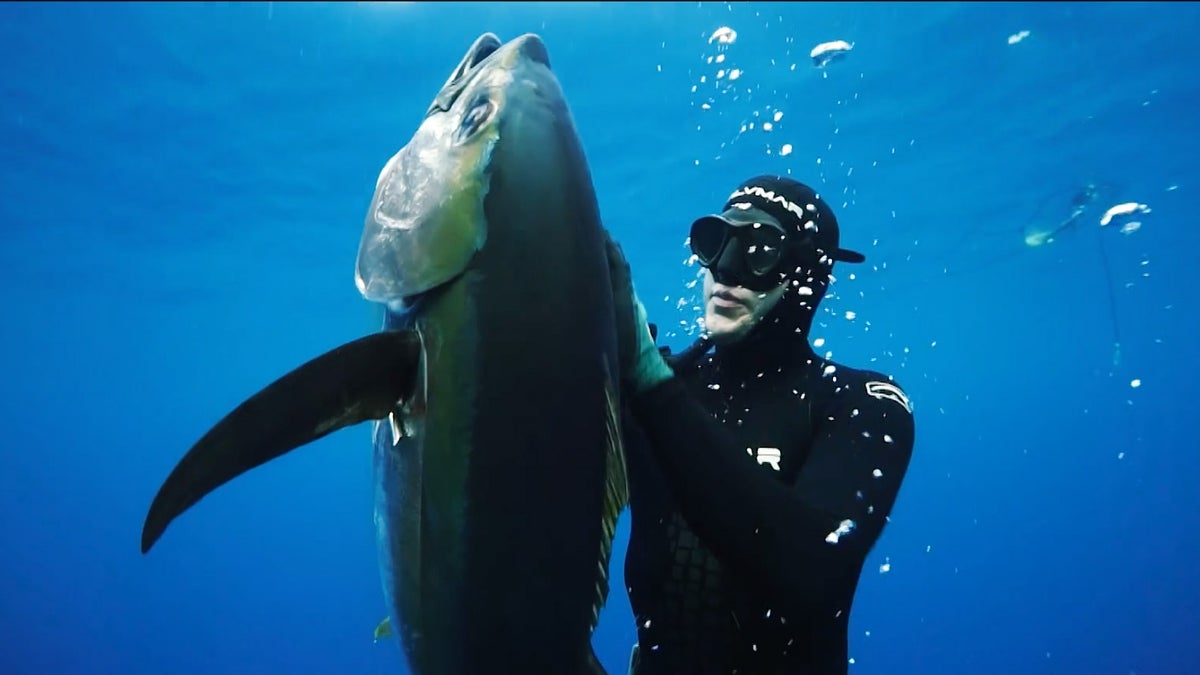 A Look into the Wild World of Spearfishing - Outside Online