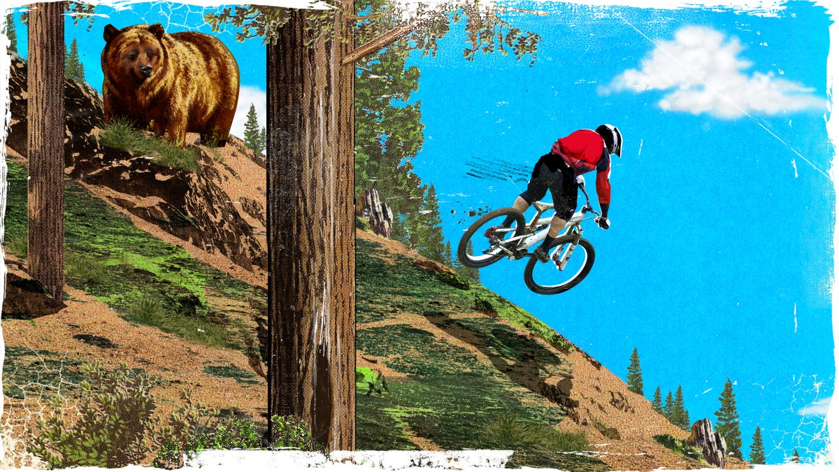 Why Do Mountain Bikers Keep Running into Bears on the Trail? - Outside ...