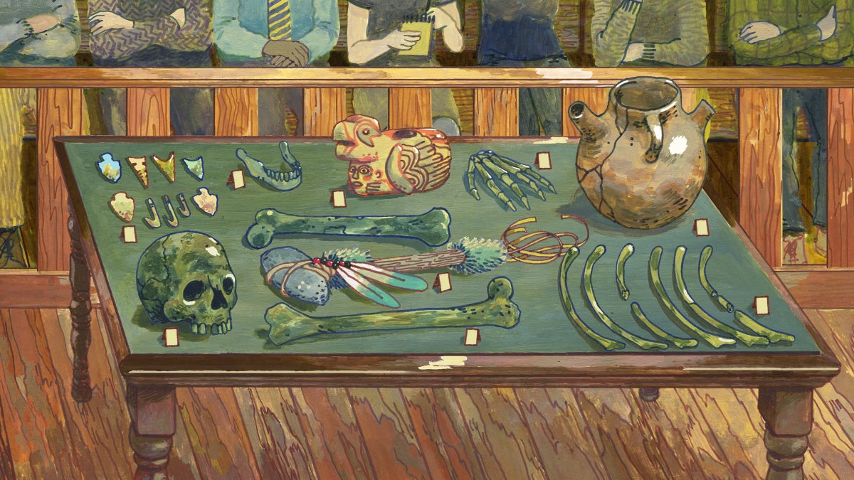 2,000 Sacred Bones Went Missing 21 Years Ago - Outside Online