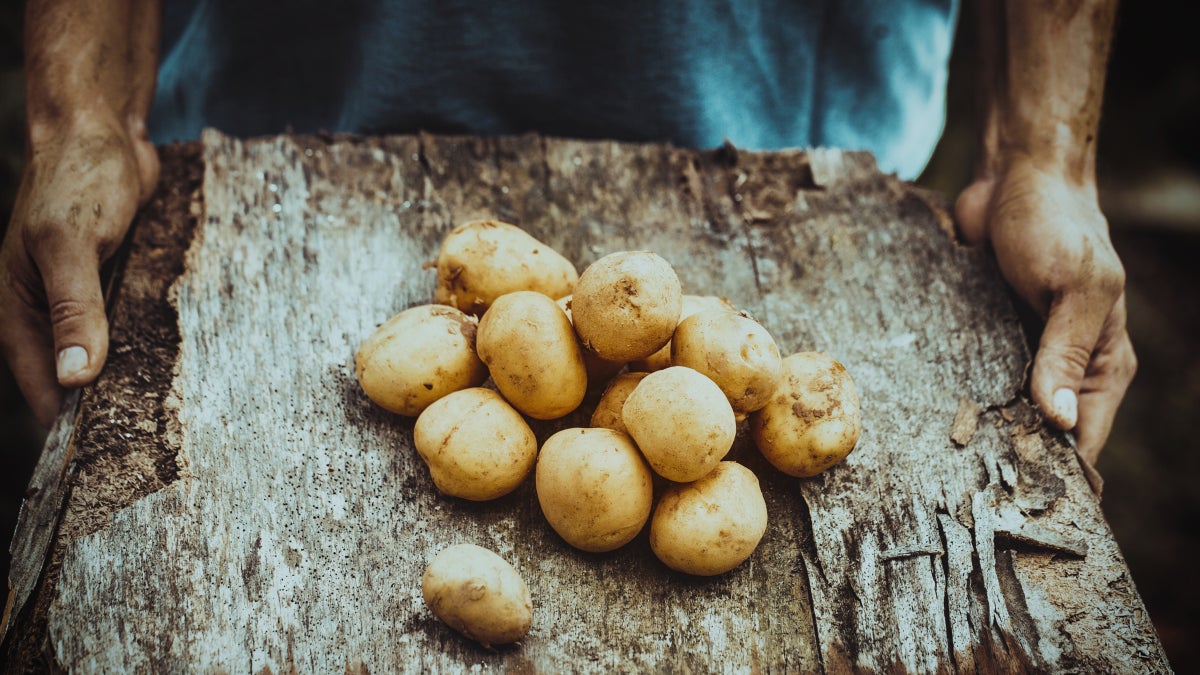 An Athlete's Ode to the Potato - Outside Online