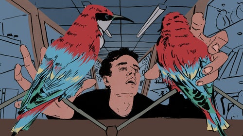 The Curious Case of the Fly-Fishing Feather Thief - Outside Online