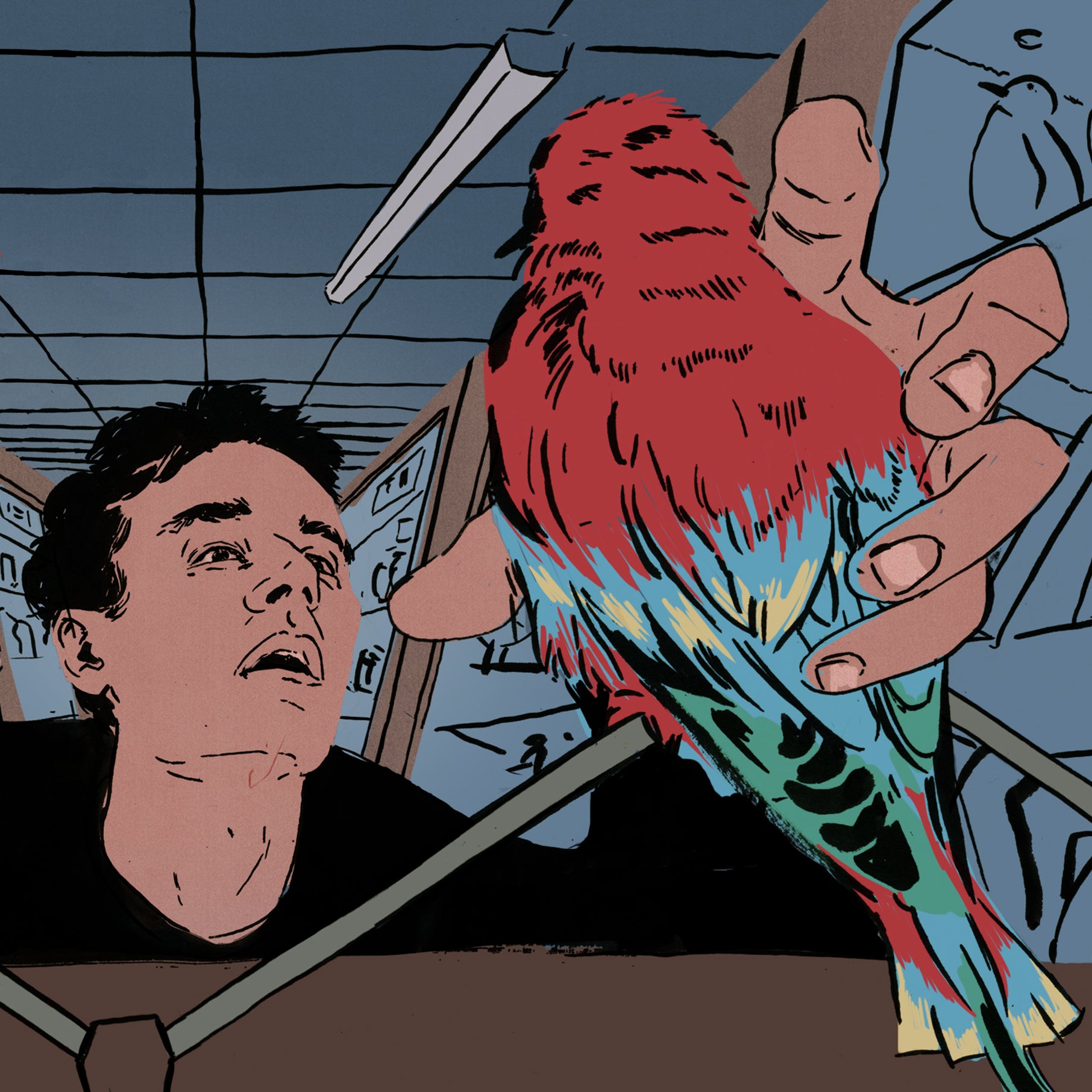 The Curious Case of the Fly-Fishing Feather Thief - Outside Online