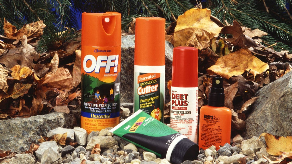 Is DEET Safe? - Outside Online