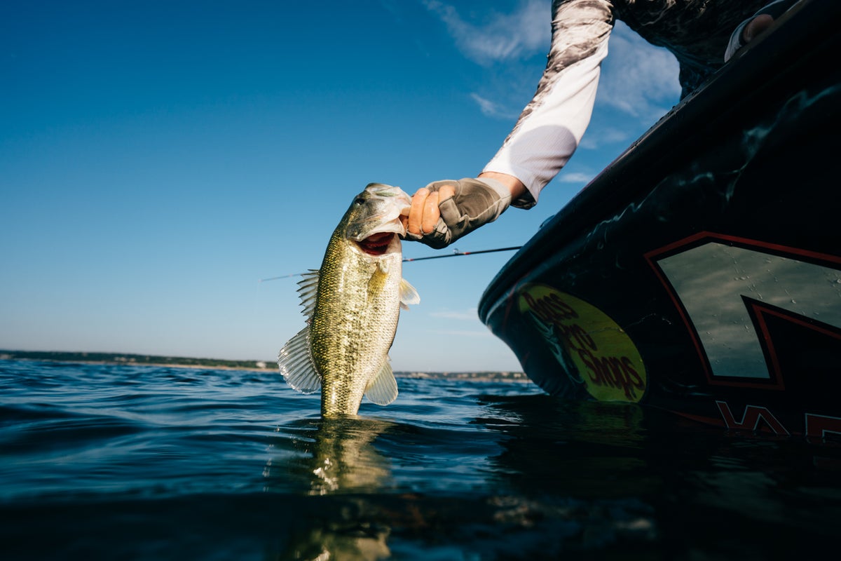 Catch and Release with the World's Best Bass Fishermen - Outside Online