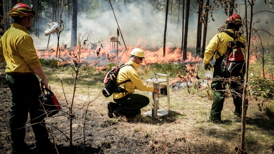 What the West Can Learn from Florida About Forest Fires - Outside Online