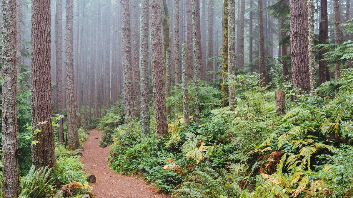 These Are the Most Secluded Hikes in the U.S. - Outside Online