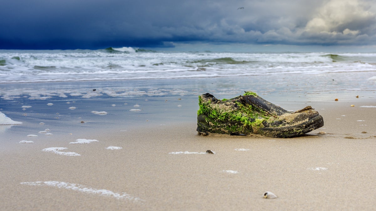 Another Severed Foot Was Found in the Pacific Northwest - Outside Online
