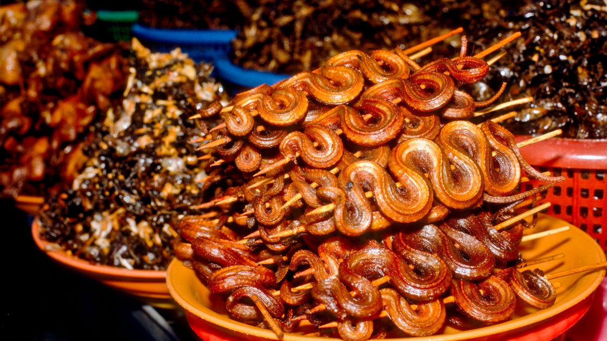 Strange Foods, Stranger Times - Outside Online