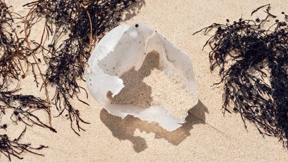 An Ocean Plastics Field Trip for Corporate Executives - Outside Online