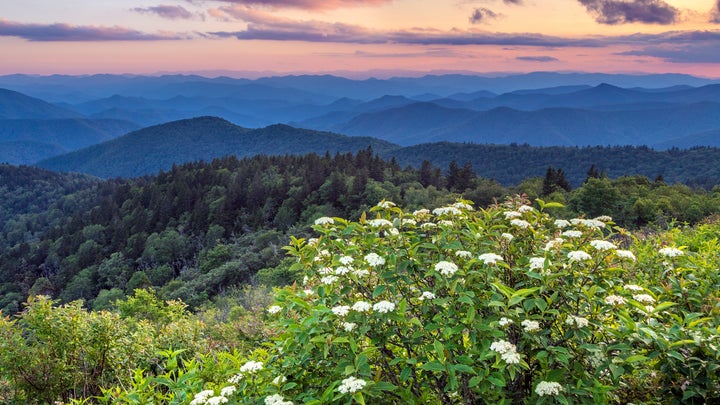 The Ultimate Great Smoky Mountains Travel Guide - Outside Online