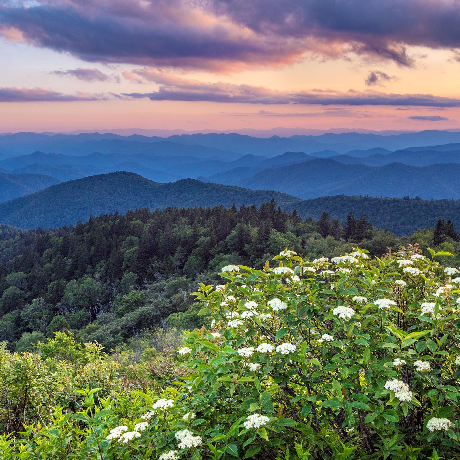 The Ultimate Great Smoky Mountains Travel Guide - Outside Online