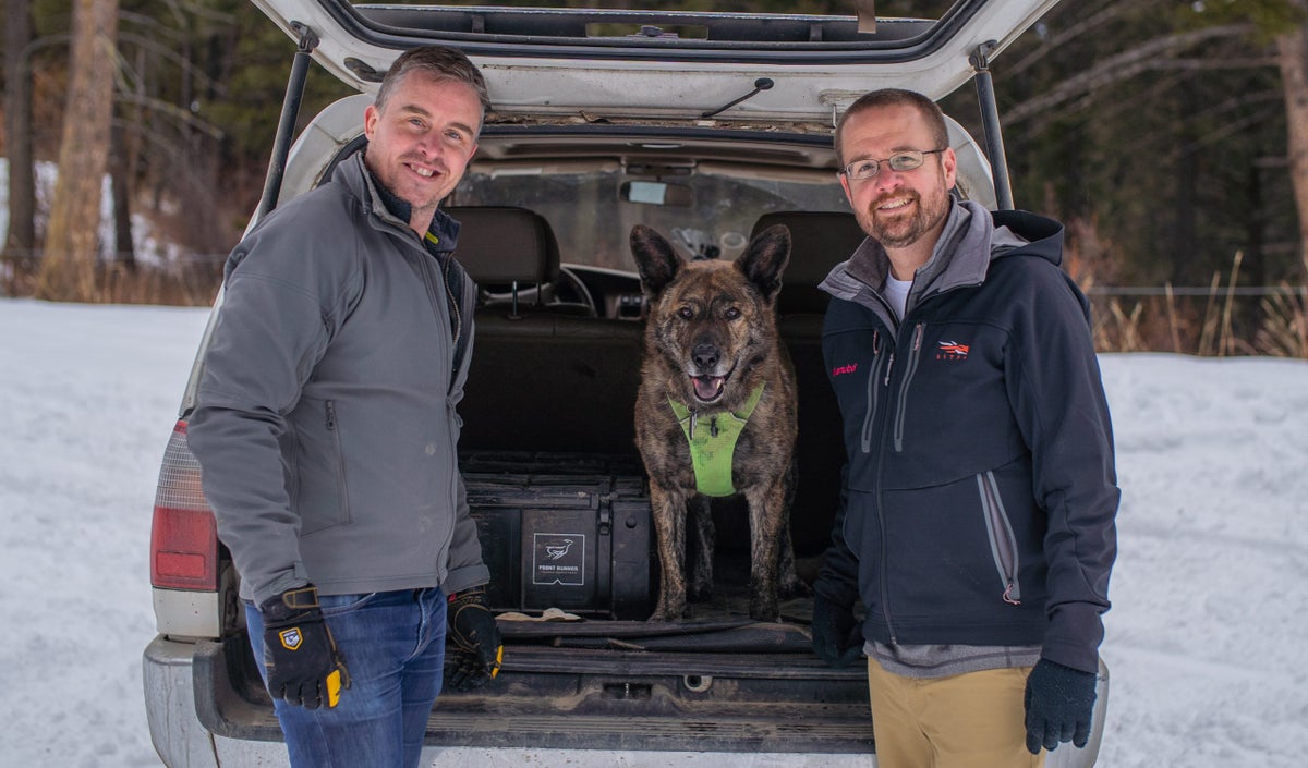 How to Give Your Dog a Quick Checkup - Outside Online