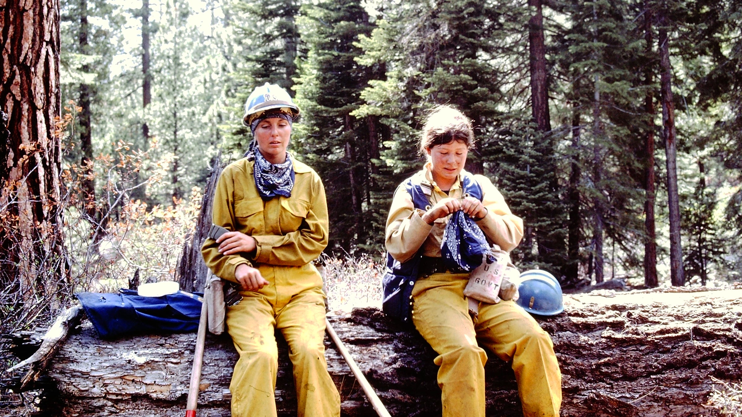 How Long After Hotshot Before Letting Dog Out