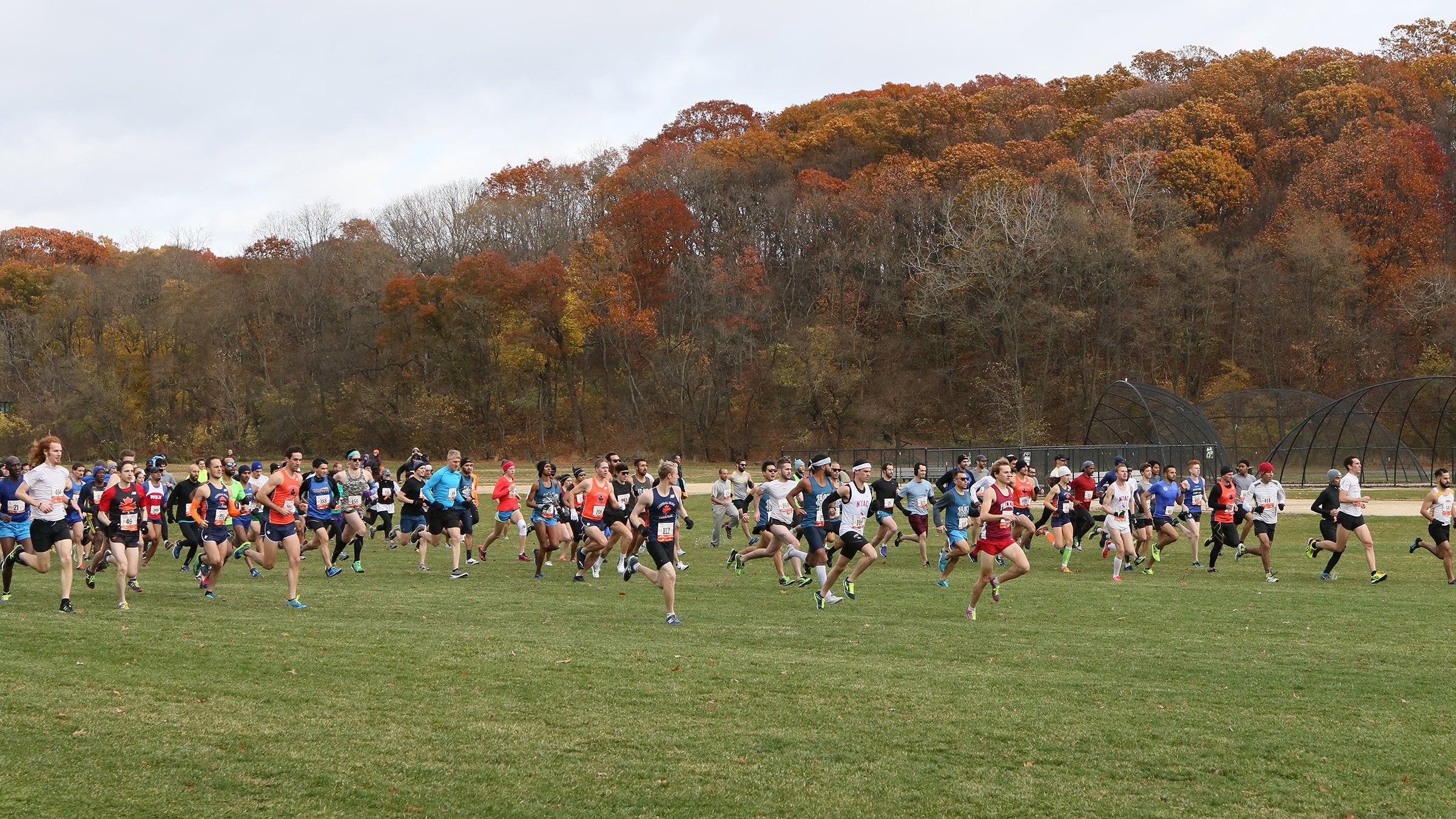 The Eternal Magic of New York's Van Cortlandt Park