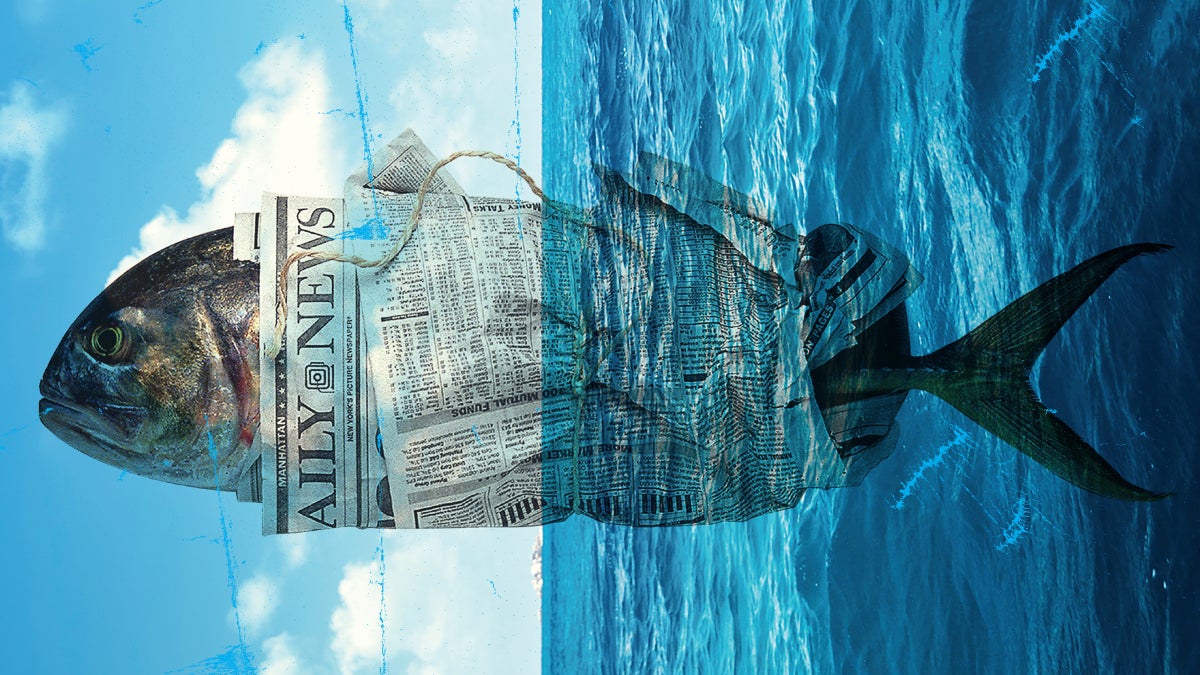 The New Wave of Fishless Fish Is Here - Outside Online