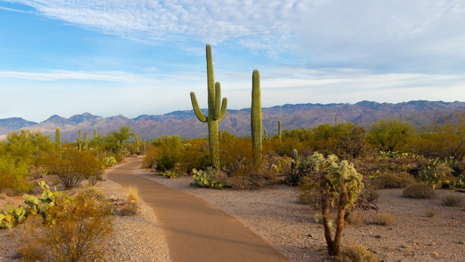 The Ultimate Guide to Arizona Public Lands - Outside Online