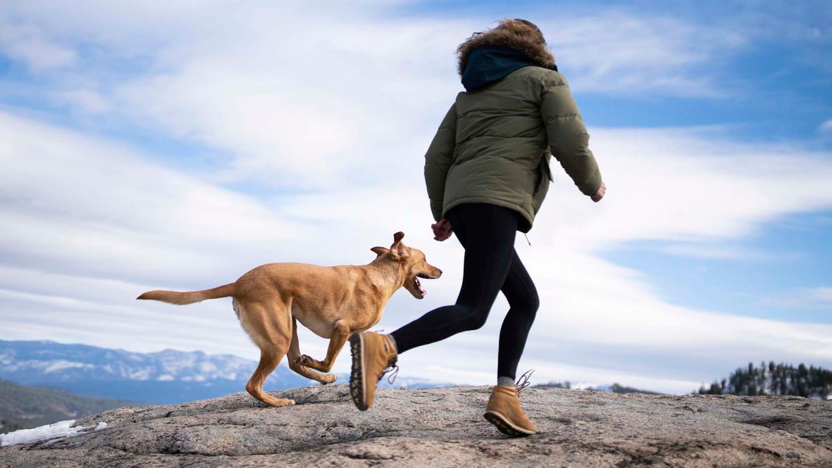 How to Train Your Adventure Dog for Anything - Outside Online