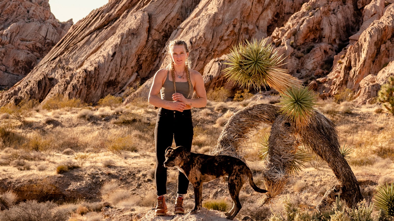 Emily Harrington Made History on El Cap. She’s Still Ascending ...