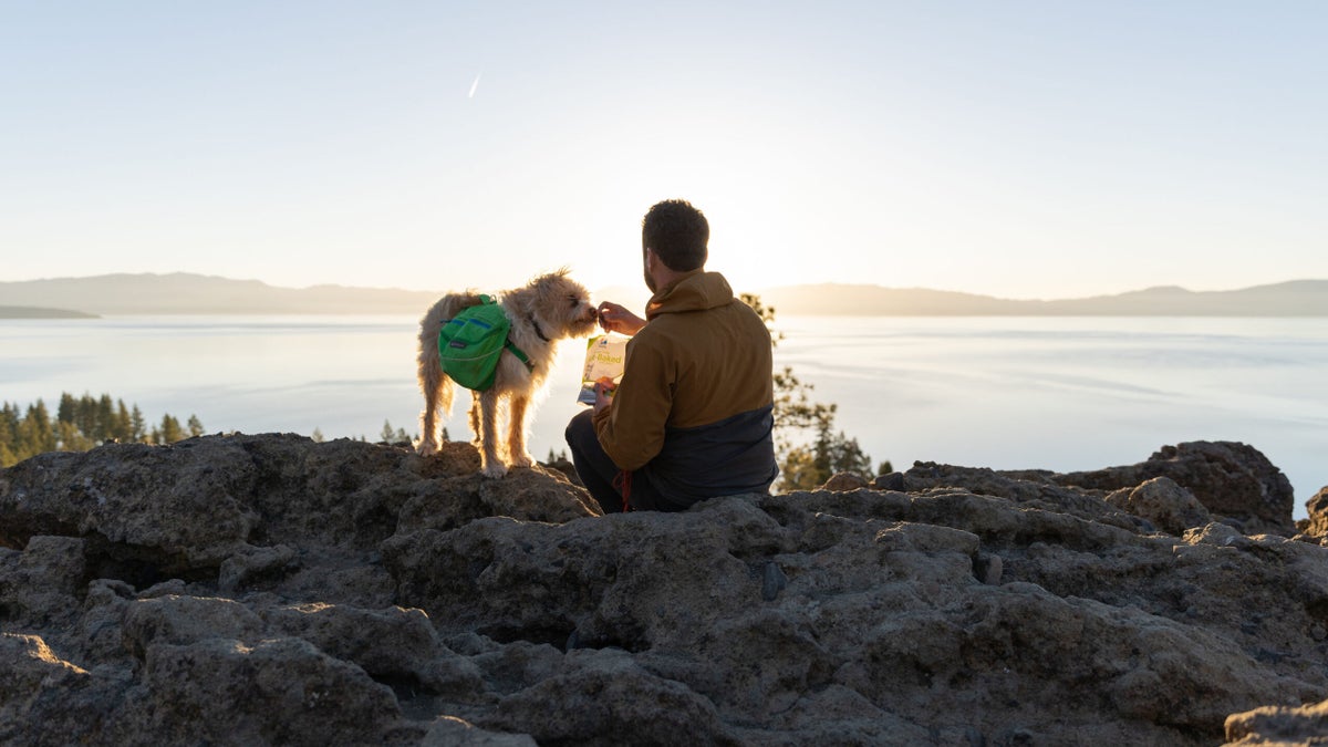 How to Adopt the Perfect Adventure Dog - Outside Online