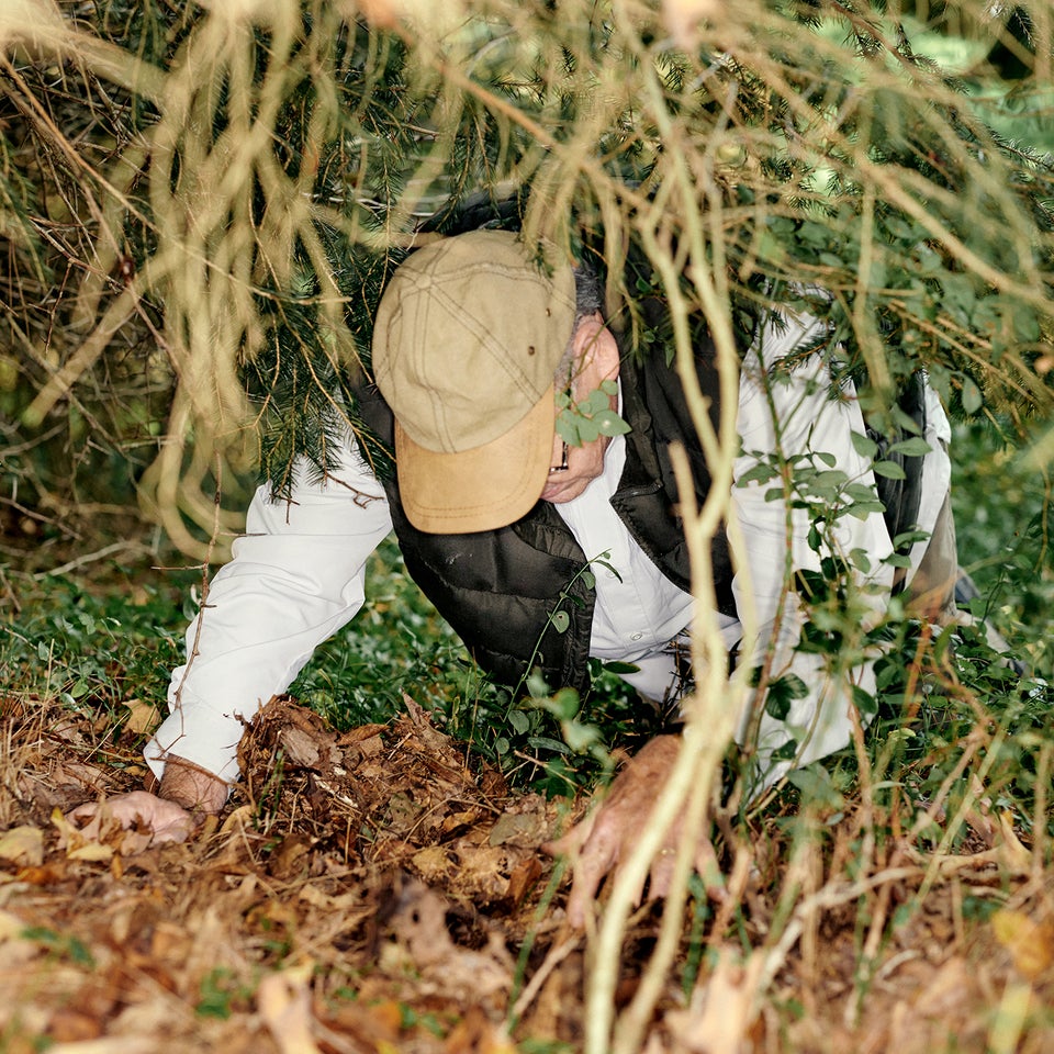 Appalachian Truffles: America's Next Food Craze - Outside Online