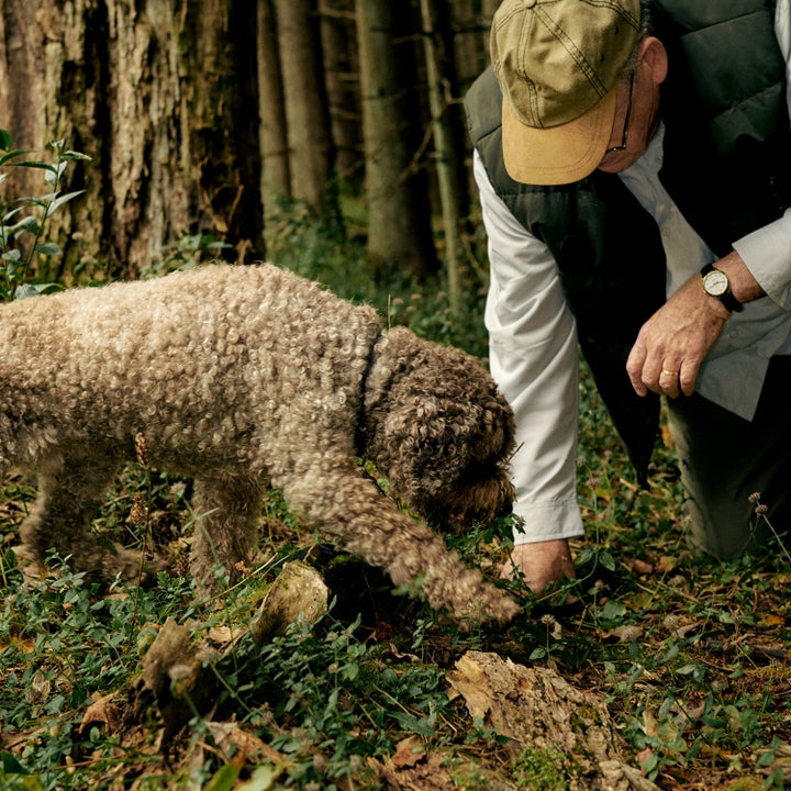 Appalachian Truffles: America's Next Food Craze - Outside Online