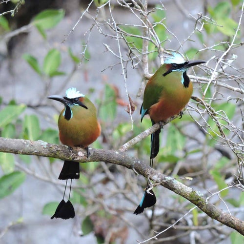 This is the Mexico for Adventurers - Outside Online