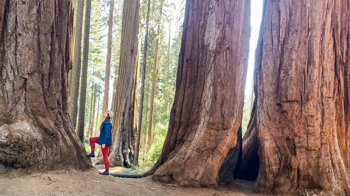 Visiting Sequoia National Park Has Never Felt So Precious - Outside Online