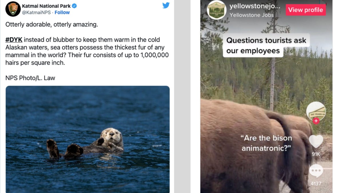 The Most Clever National Park Social Media Accounts - Outside Online