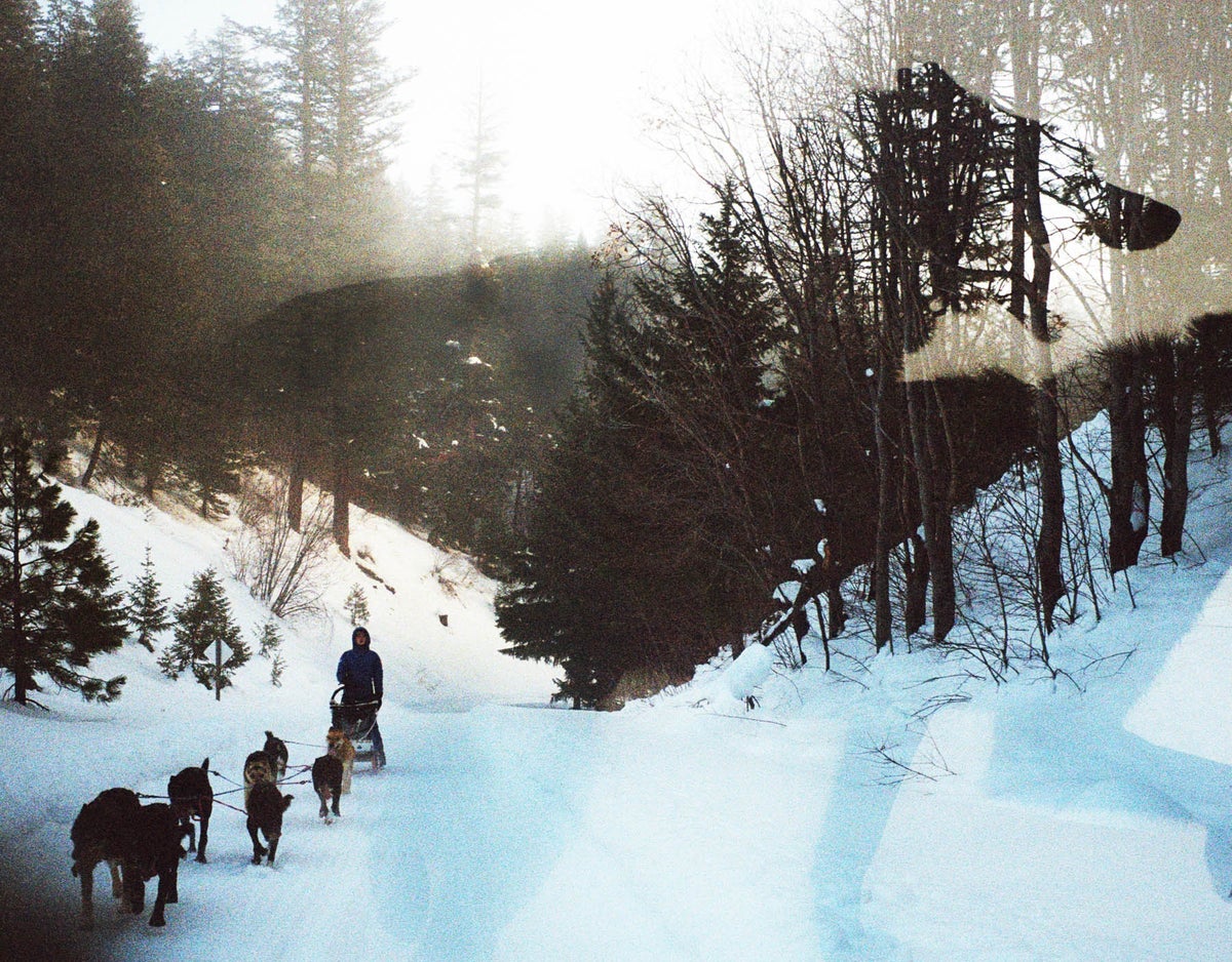 Meet the Women Mushers Devoting Their Lives to Dogsledding