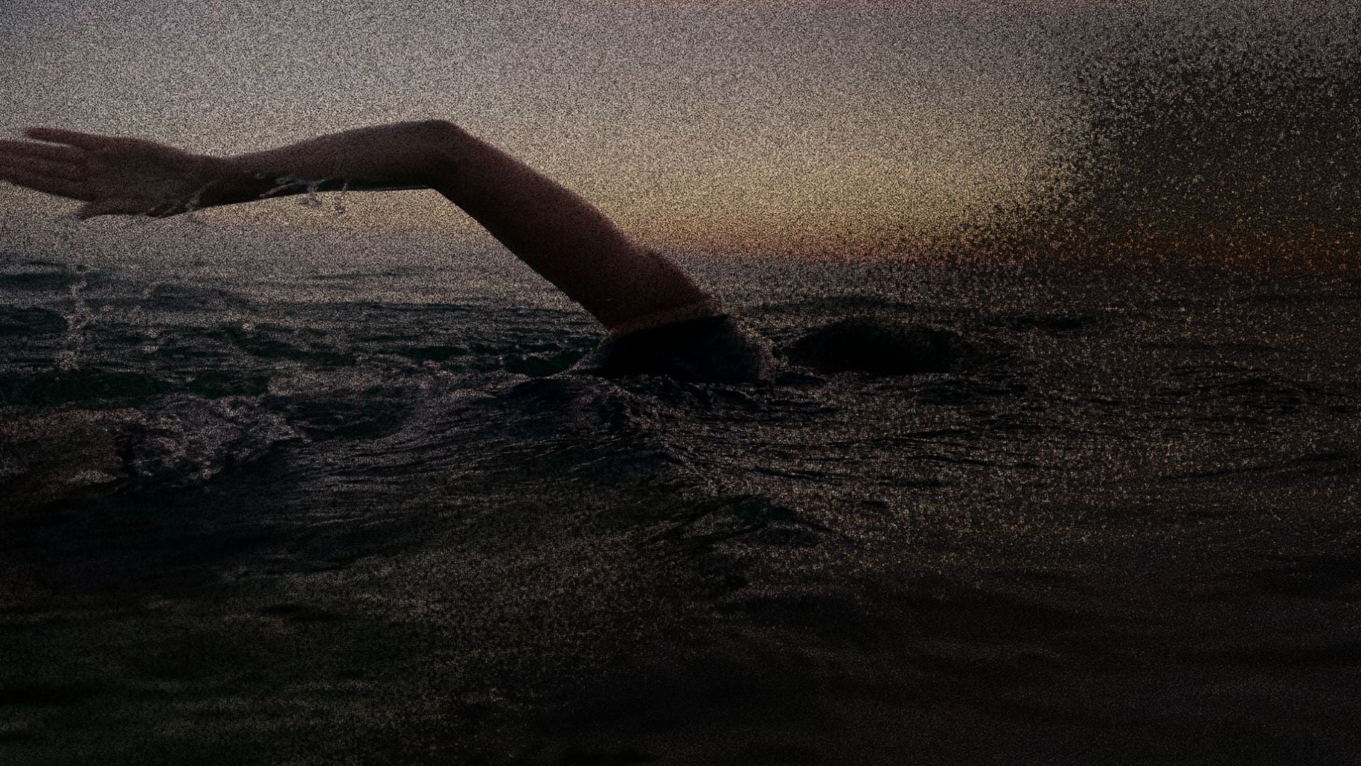 Authorities Suspend Search for California Swimmer Erica Fox