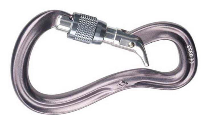 Black Diamond Gridlock Screwgate Carabiner | Outside Online