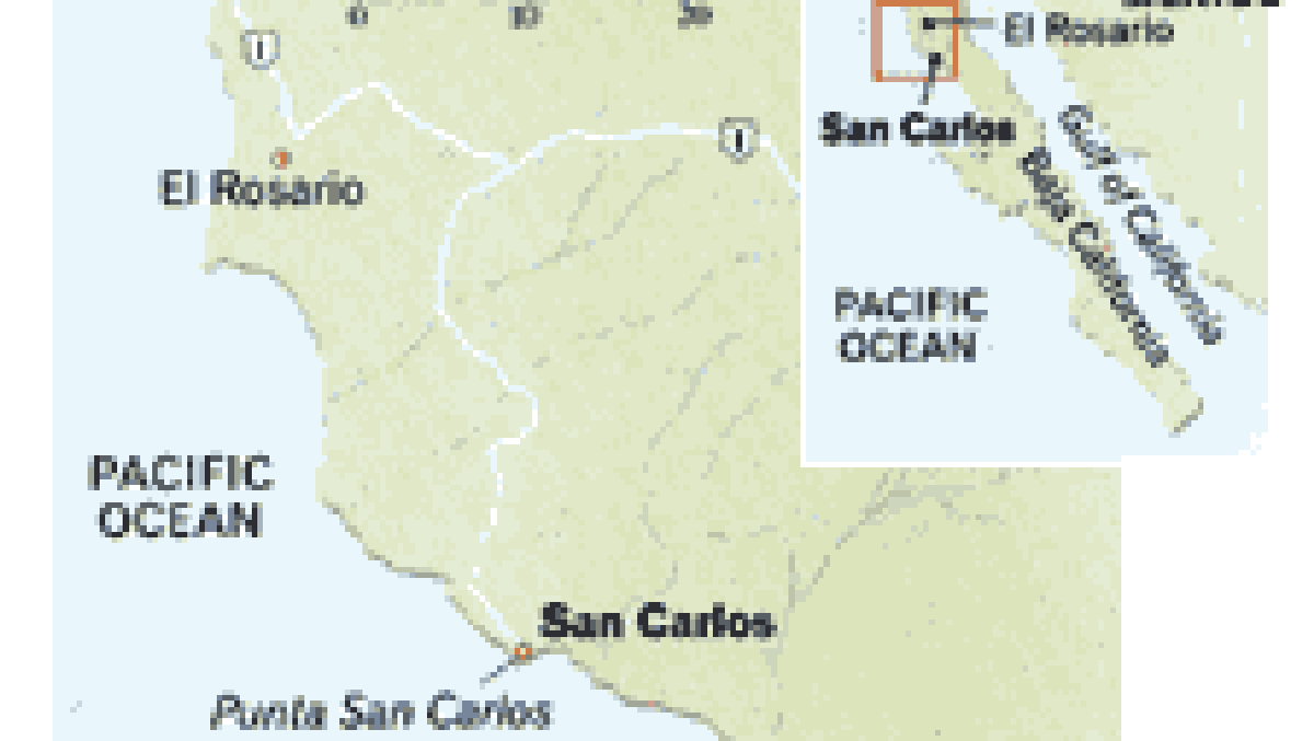 Mexican Hat Trick - Outside Online