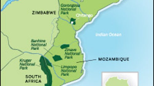 Saving Gorongosa - Outside Online