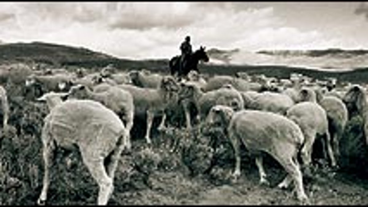 El Último Vaquero Habla Español (The Last Cowboy Speaks Spanish ...