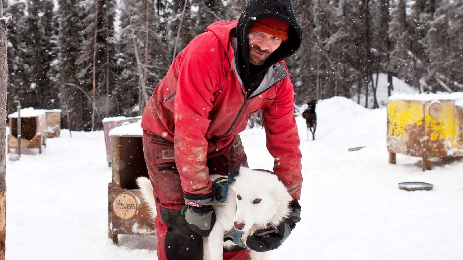 Lance Mackey: The World's Toughest Athlete | Outside Online