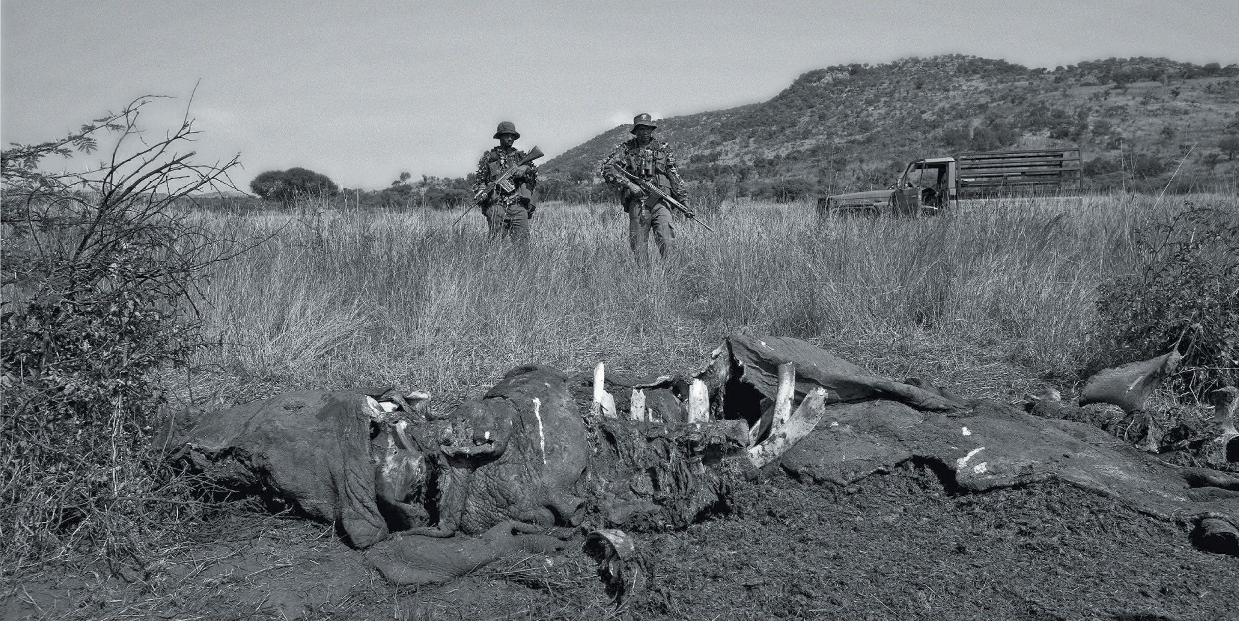 The Madness of Modern-Day Poaching - Outside Online