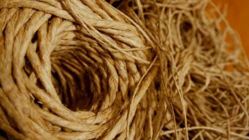 How do you make a plant-fiber rope? | Outside Online