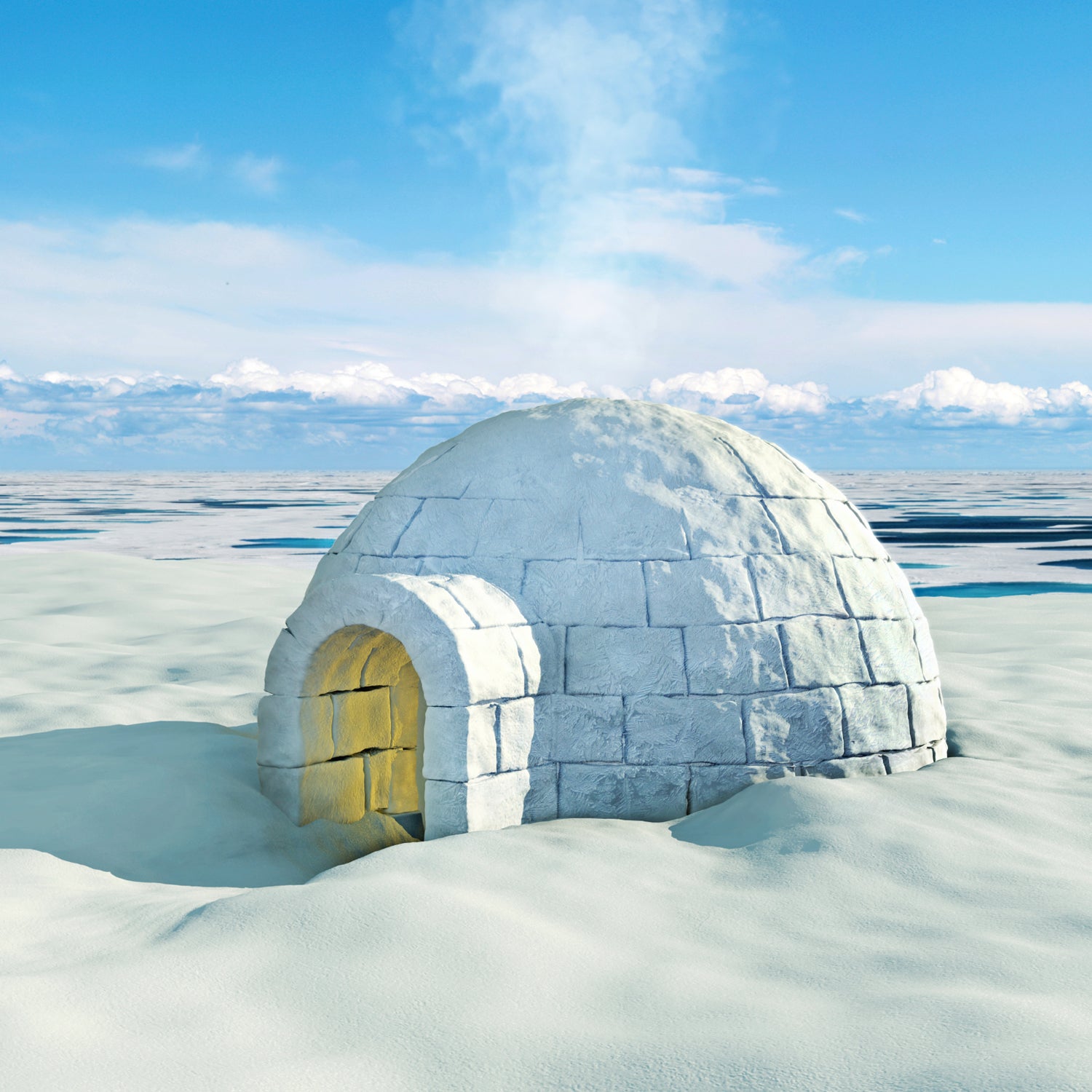Igloo House