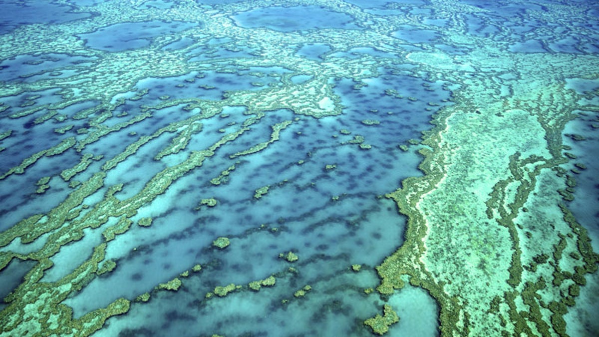 Sediment Dump on Great Barrier Reef OK'd - Outside Online