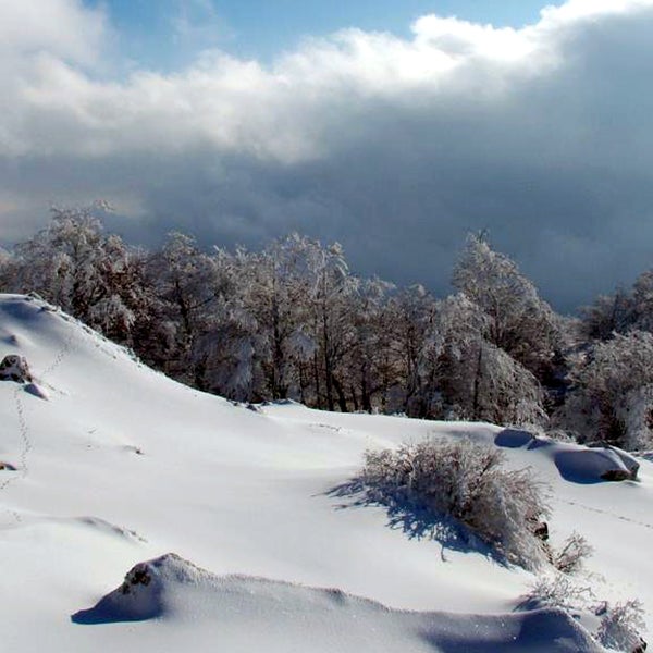 Italy Sees Possible Record of 24-Hour Snowfall | Outside Online